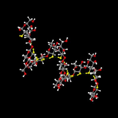 Struttura dell'amido, amilopectine ed amilosio con Jsmol