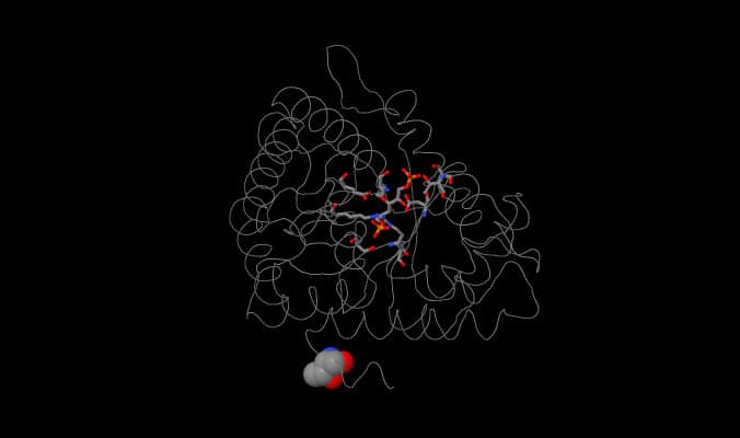 Fruttosio Bifosfato Aldolasi, enzima glicolitico in 3D