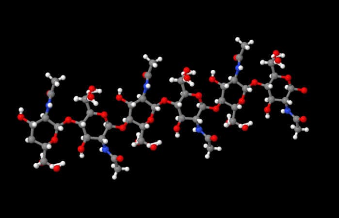 La chitina ed il chitosano: strutture in Jsmol
