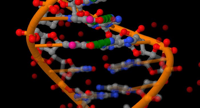 ACIDI NUCLEICI: Basi azotate - PinoStriccoli - Chimica in Blog
