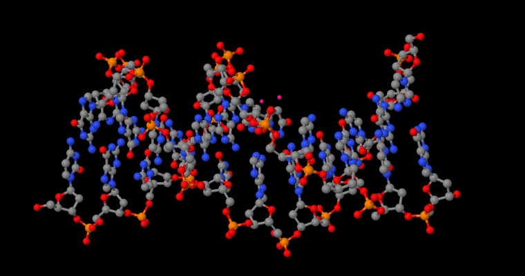 Operone triptofano e i suoi enzimi reprimibili